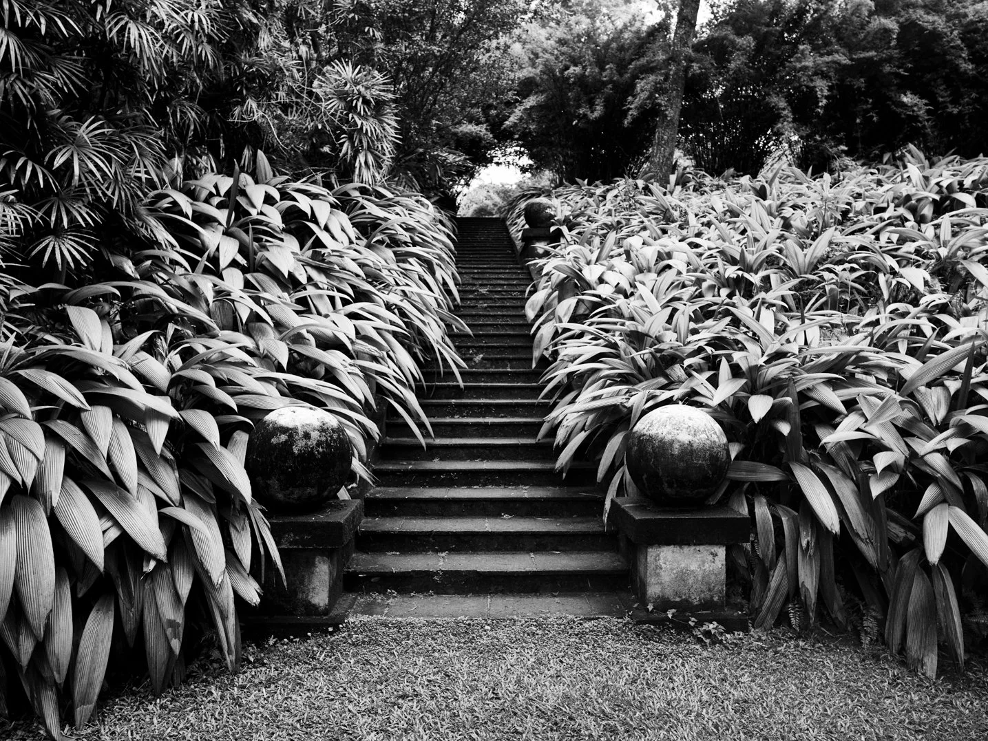 richard powers photographer