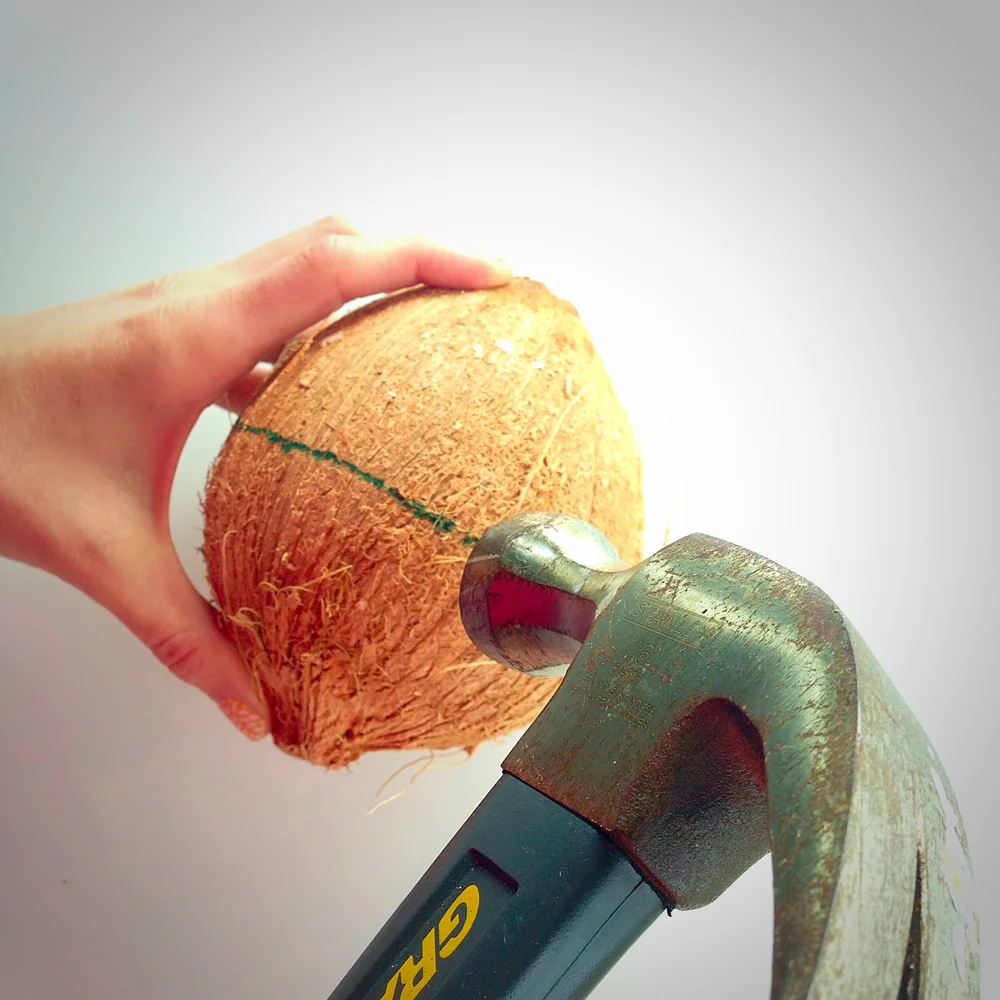 Coconut Tutorial | Ashly Locklin