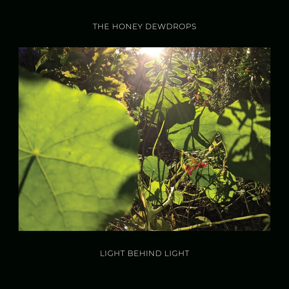 Catalog — The Honey Dewdrops