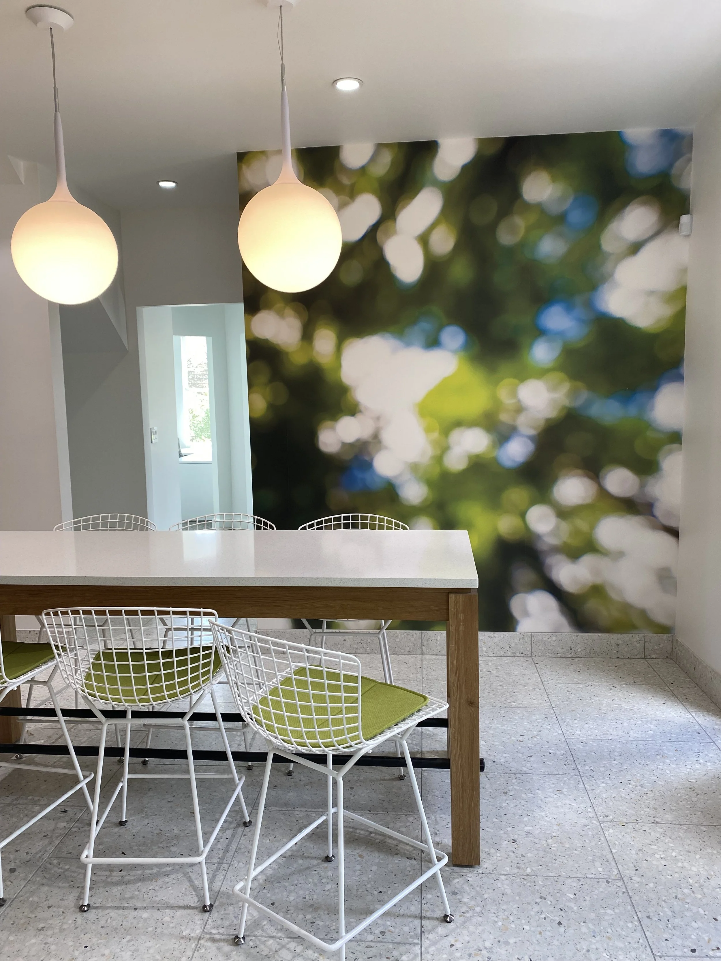 NSHSS — TaC studios - Modern Architecture in Atlanta, GA