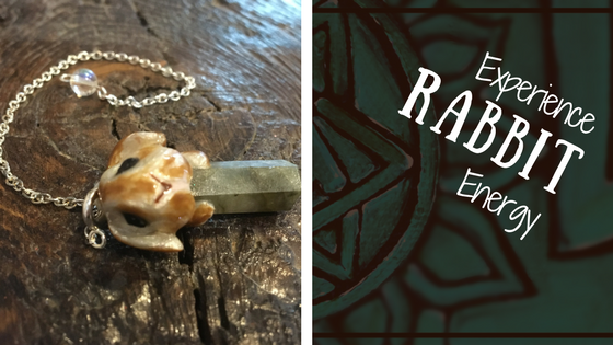 Rabbit Energy — Root to Crown