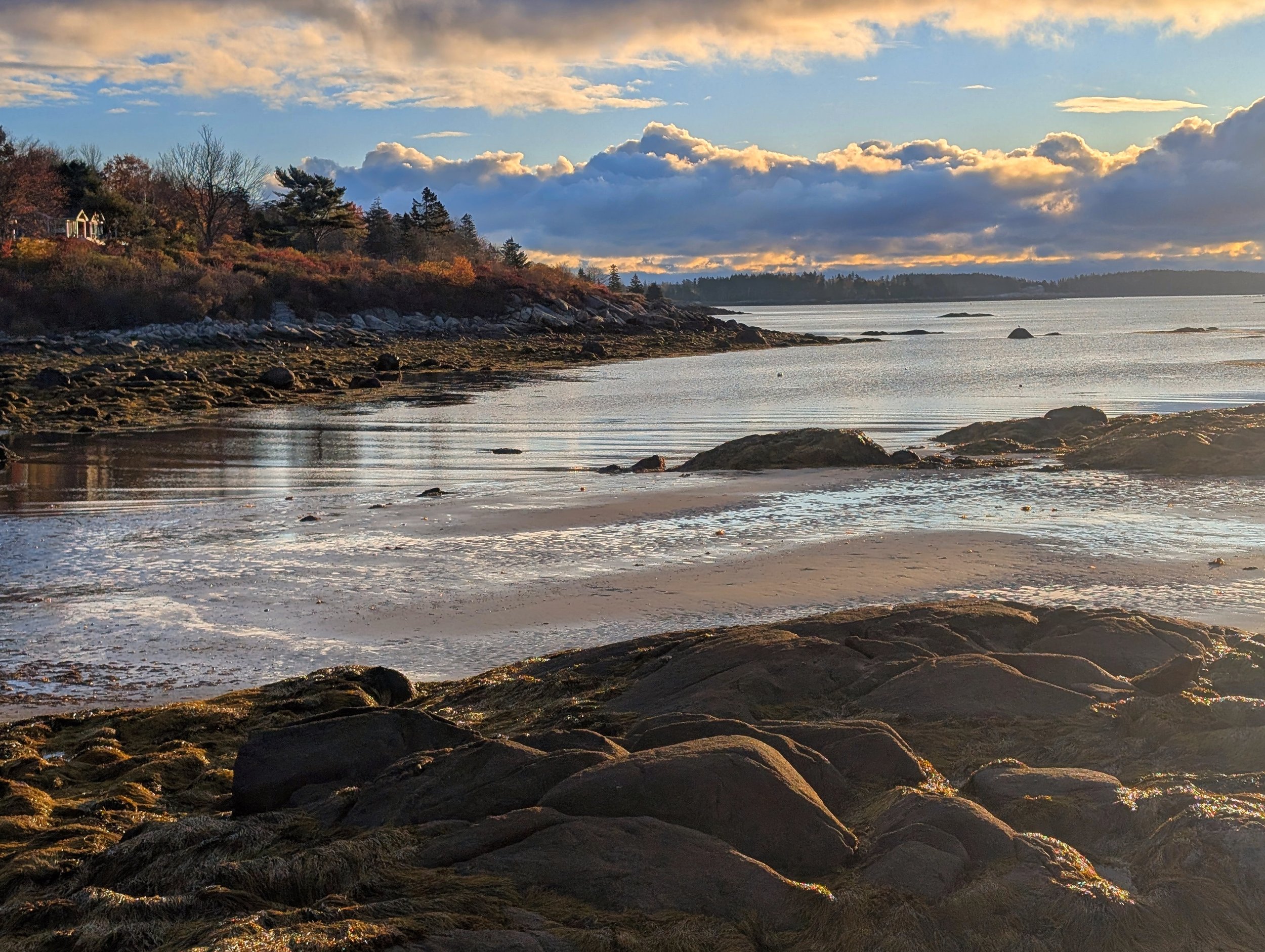 Spruce Head Maine - A Painting Retreat! — David Lussier Gallery