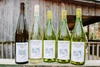 Our Wines — Medaloni Cellars