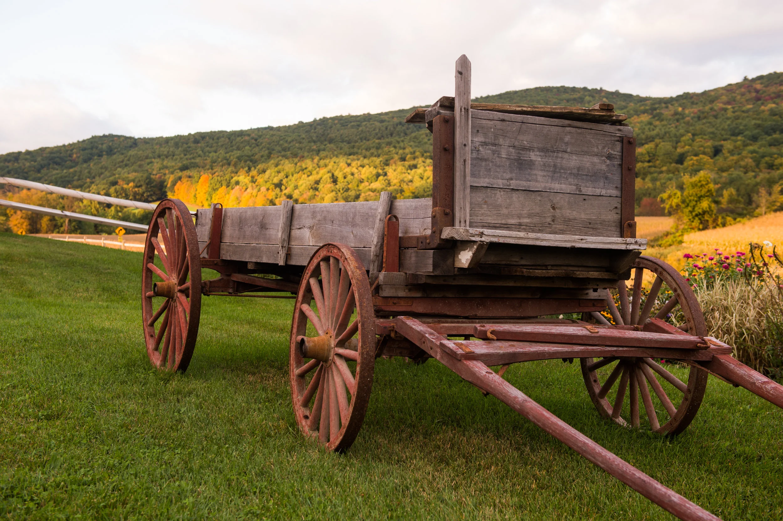 Our Farm & Grounds — Lakota's Farm Weddings and Events