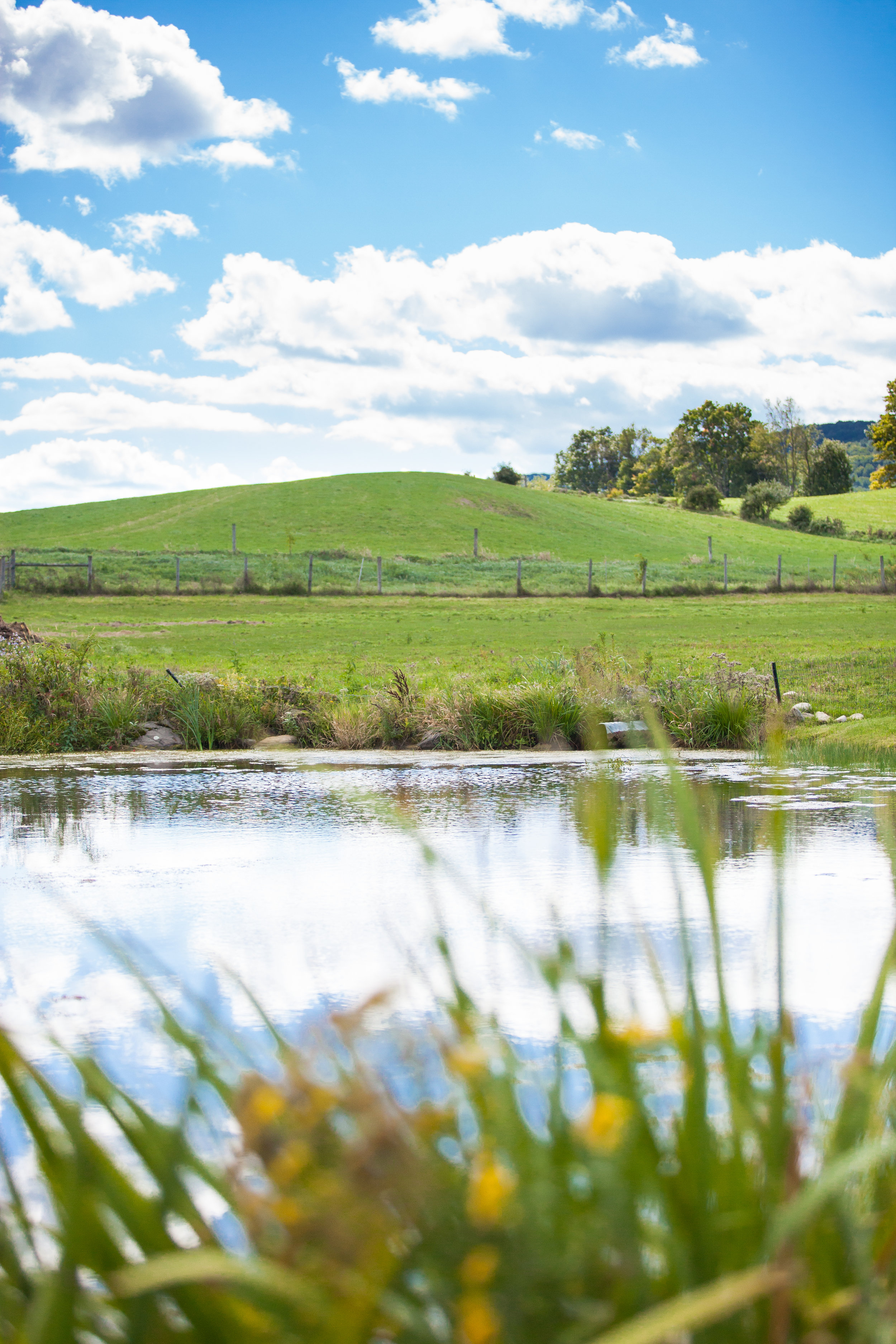 Our Farm & Grounds — Lakota's Farm Weddings and Events