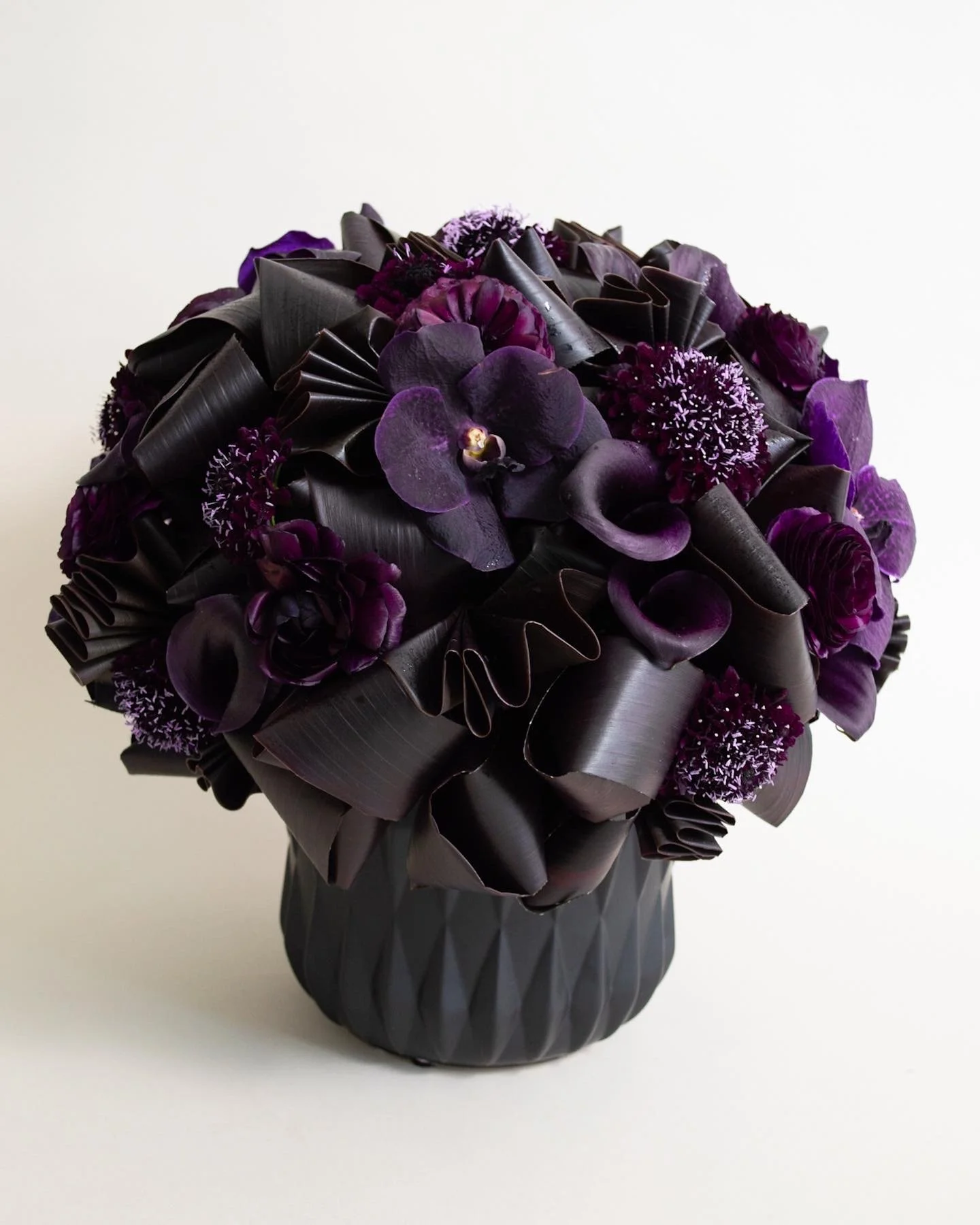 Naturally Black Flowers