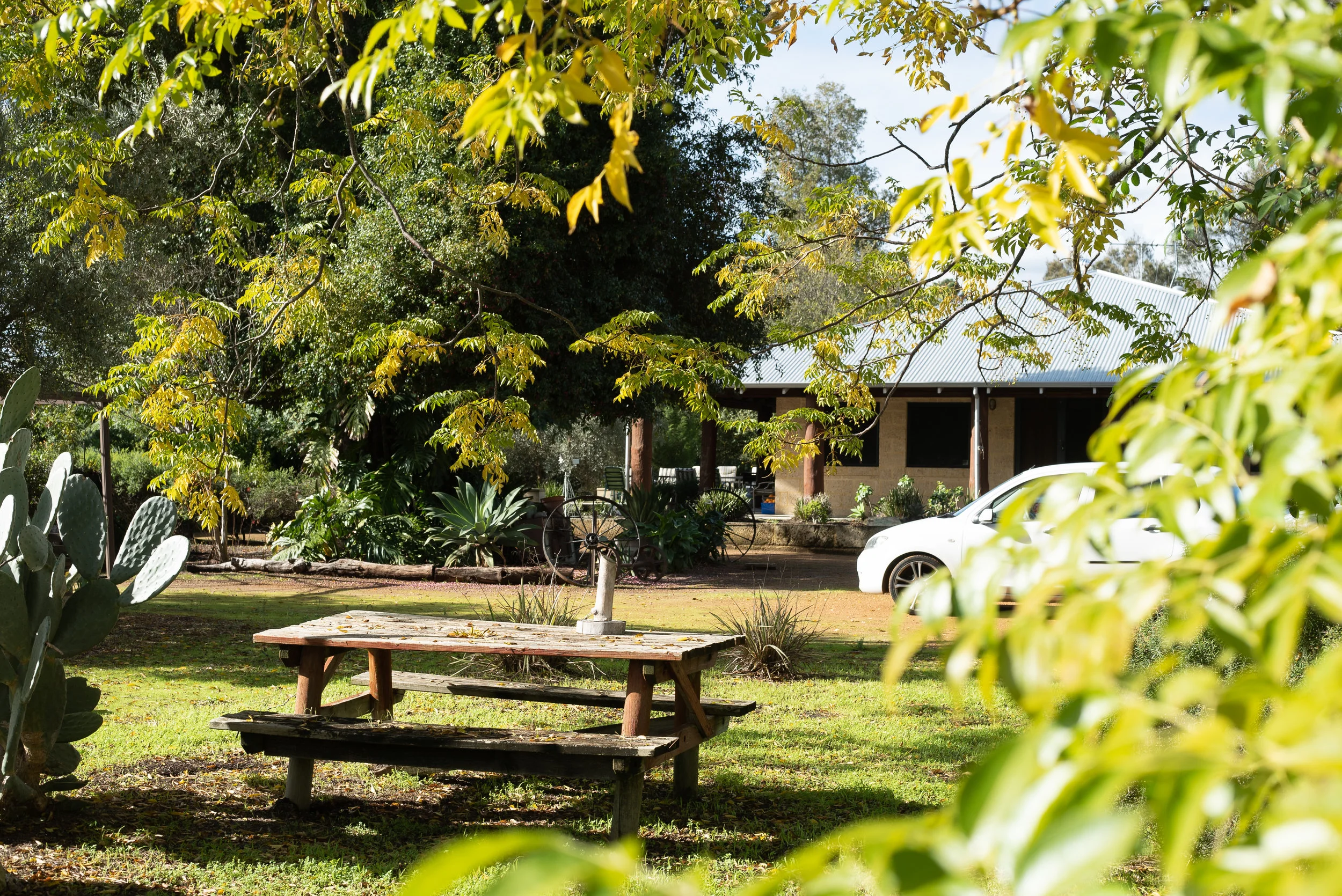 Tenacious House | Mental Health Support & Professional Care Services ...