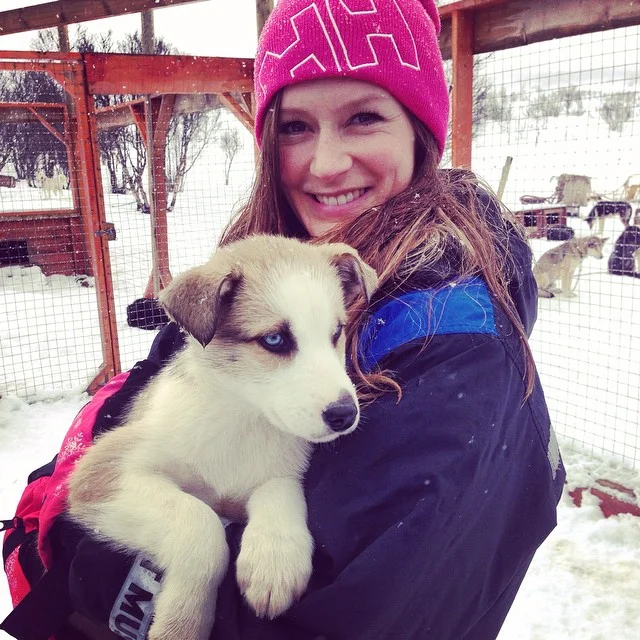 Contact me — Ellie Ross