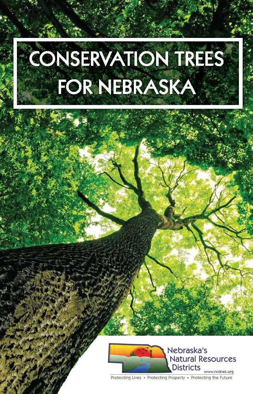 Natural Resources Trees