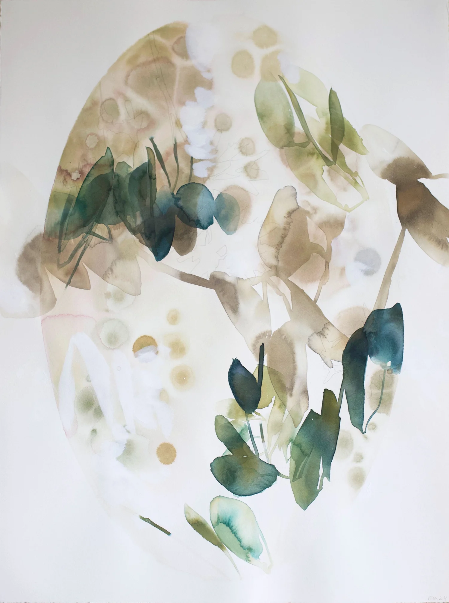 ELISE MORRIS