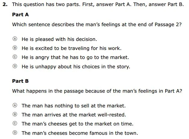 FSA Practice Test Grade 3 ELA Reading: What to Expect | Origins Tutoring