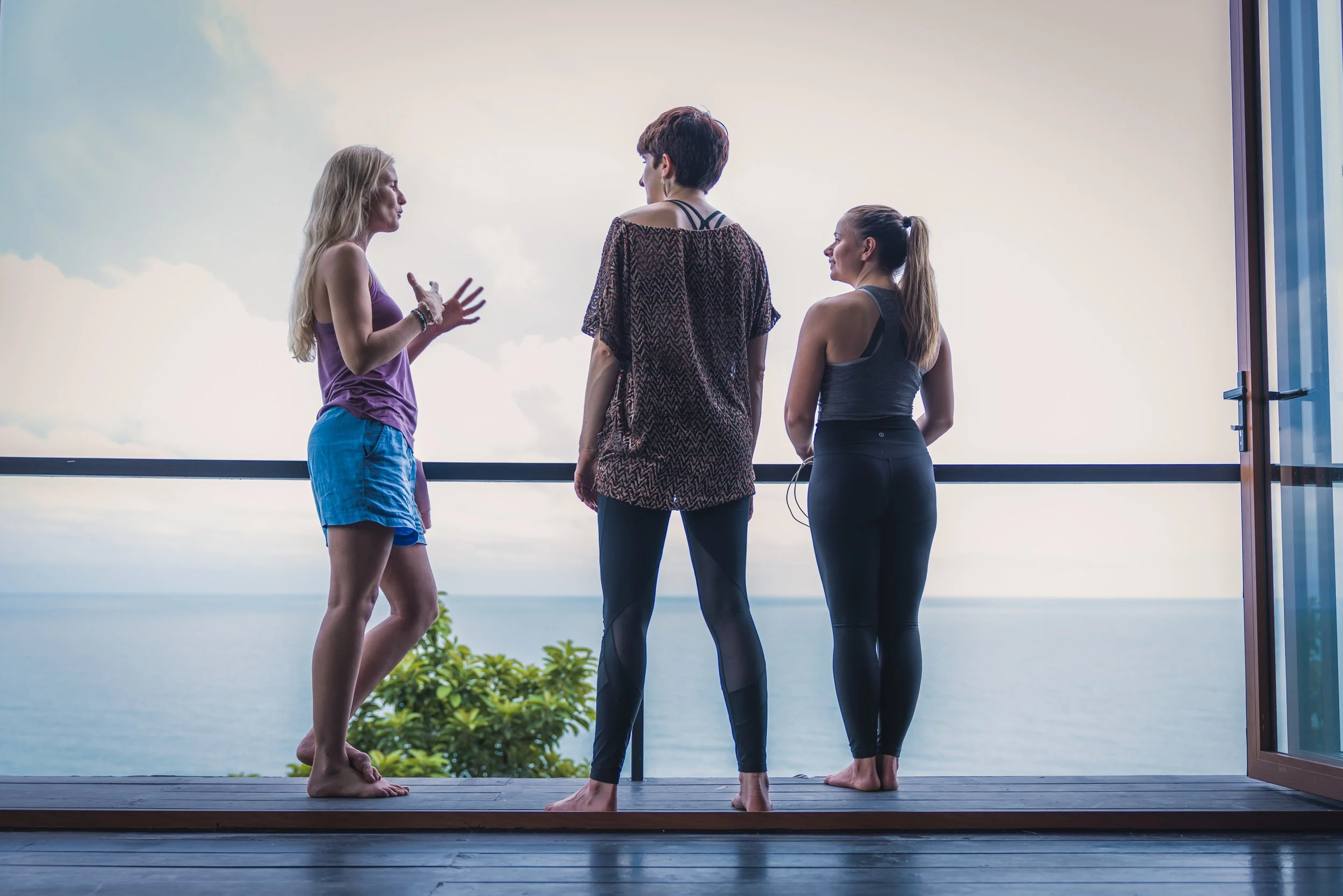 daniel rama yoga teacher training handstand — Daniel Rama Yoga