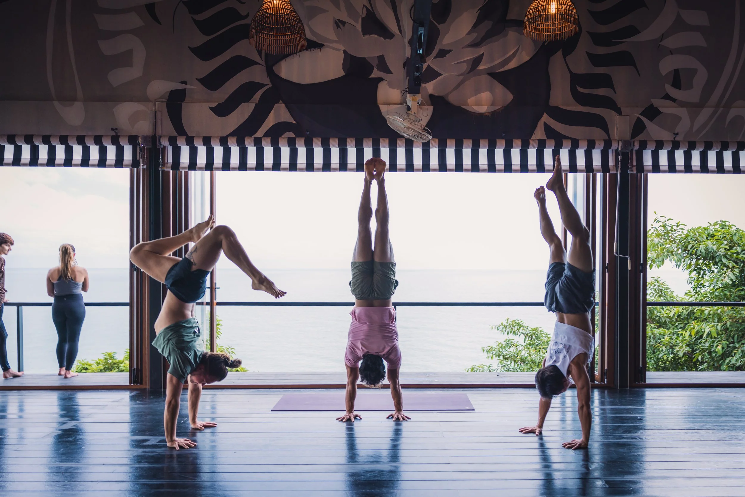 daniel rama yoga teacher training handstand — Daniel Rama Yoga