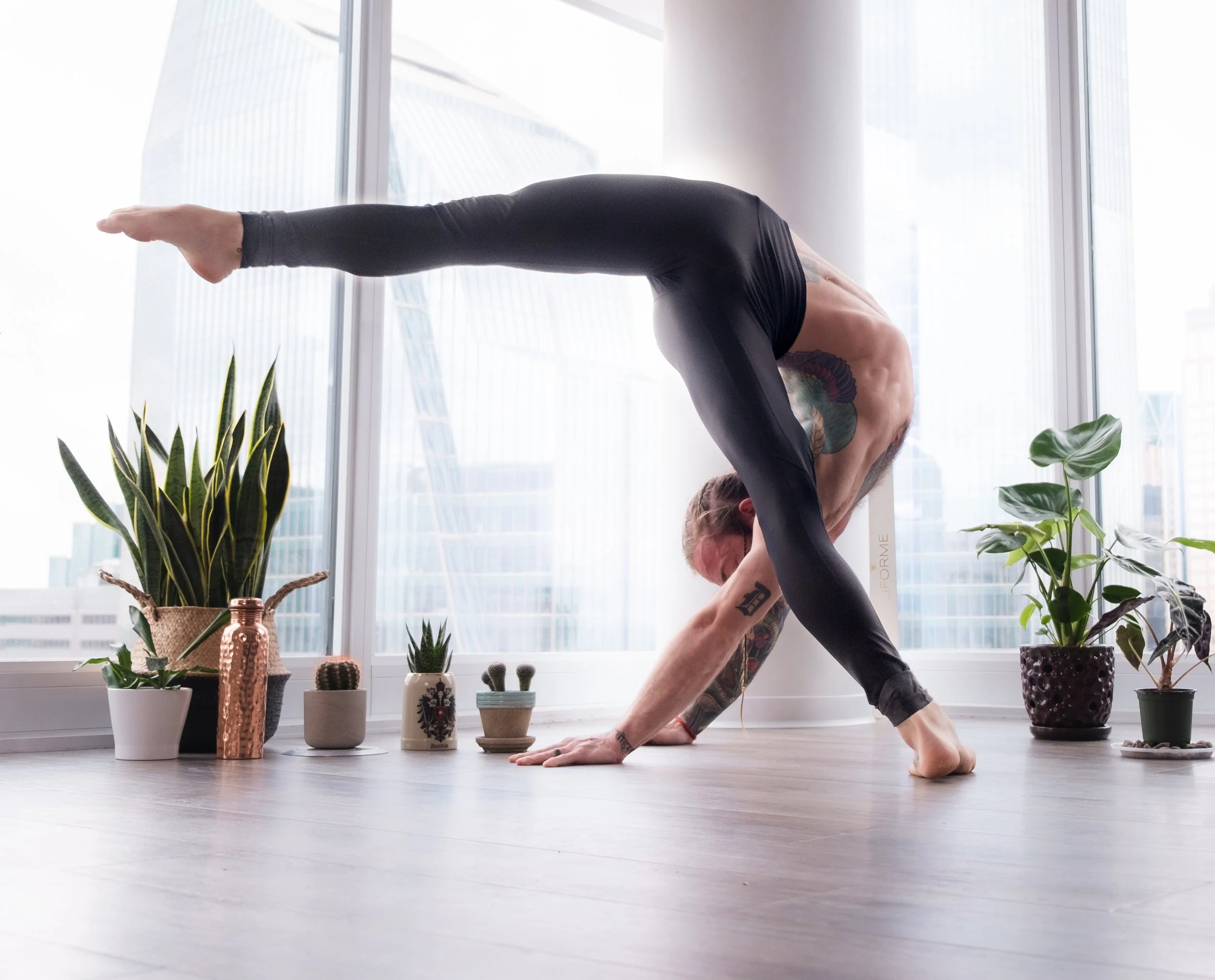 Flexibility Map Guide — Daniel Rama Yoga