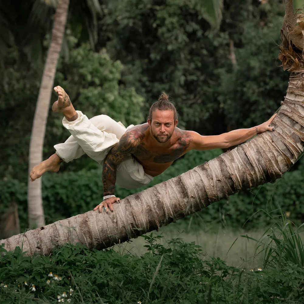 daniel rama yoga teacher training handstand — Daniel Rama Yoga