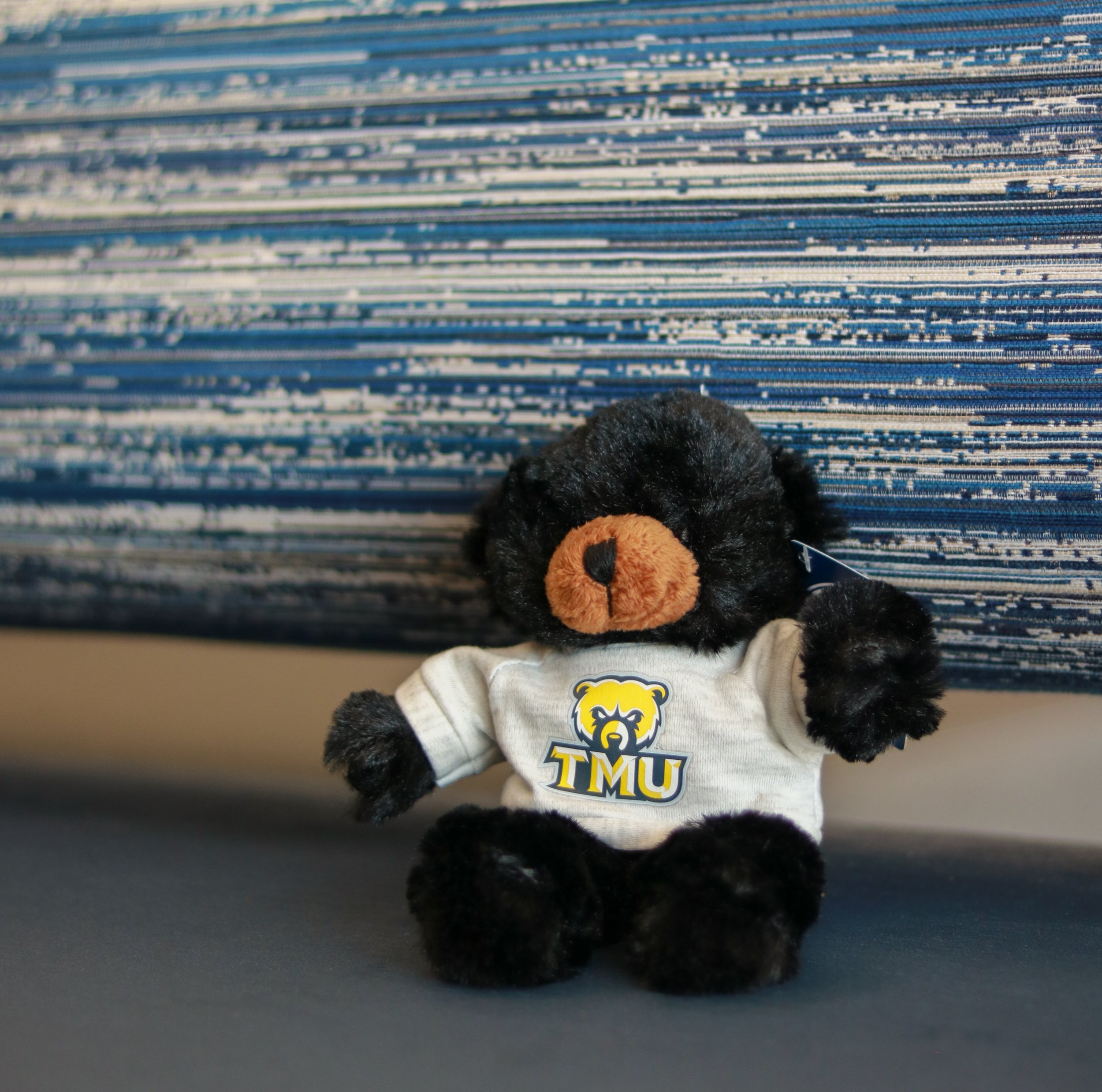 TMU Plush — The Outpost