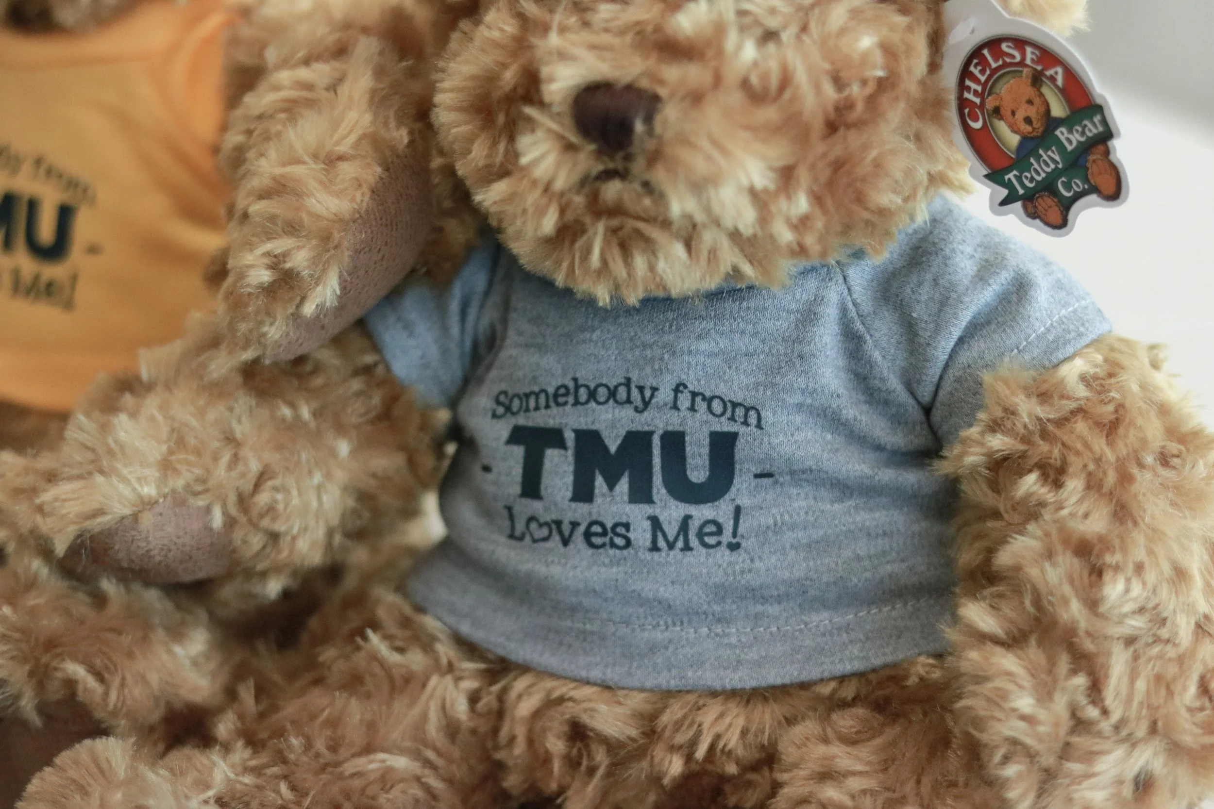 TMU Plush — The Outpost