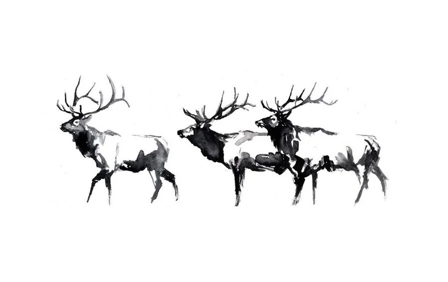 Elk Fighting Silhouette