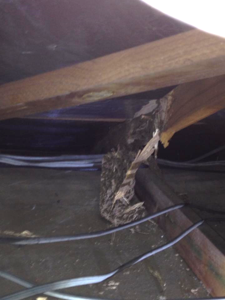 Quality Termite Barriers & Protection | Boss — Boss Termites