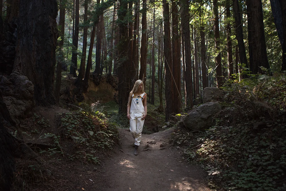 // a walk through the forest // — Astrobandit