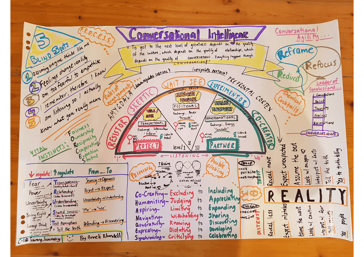 Conversational Intelligence | Anneli Blundell - Communication Dynamics ...