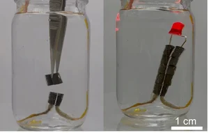 Breakthrough in Self-Healing Electronic Skin - This Isn't Sci-Fi ...