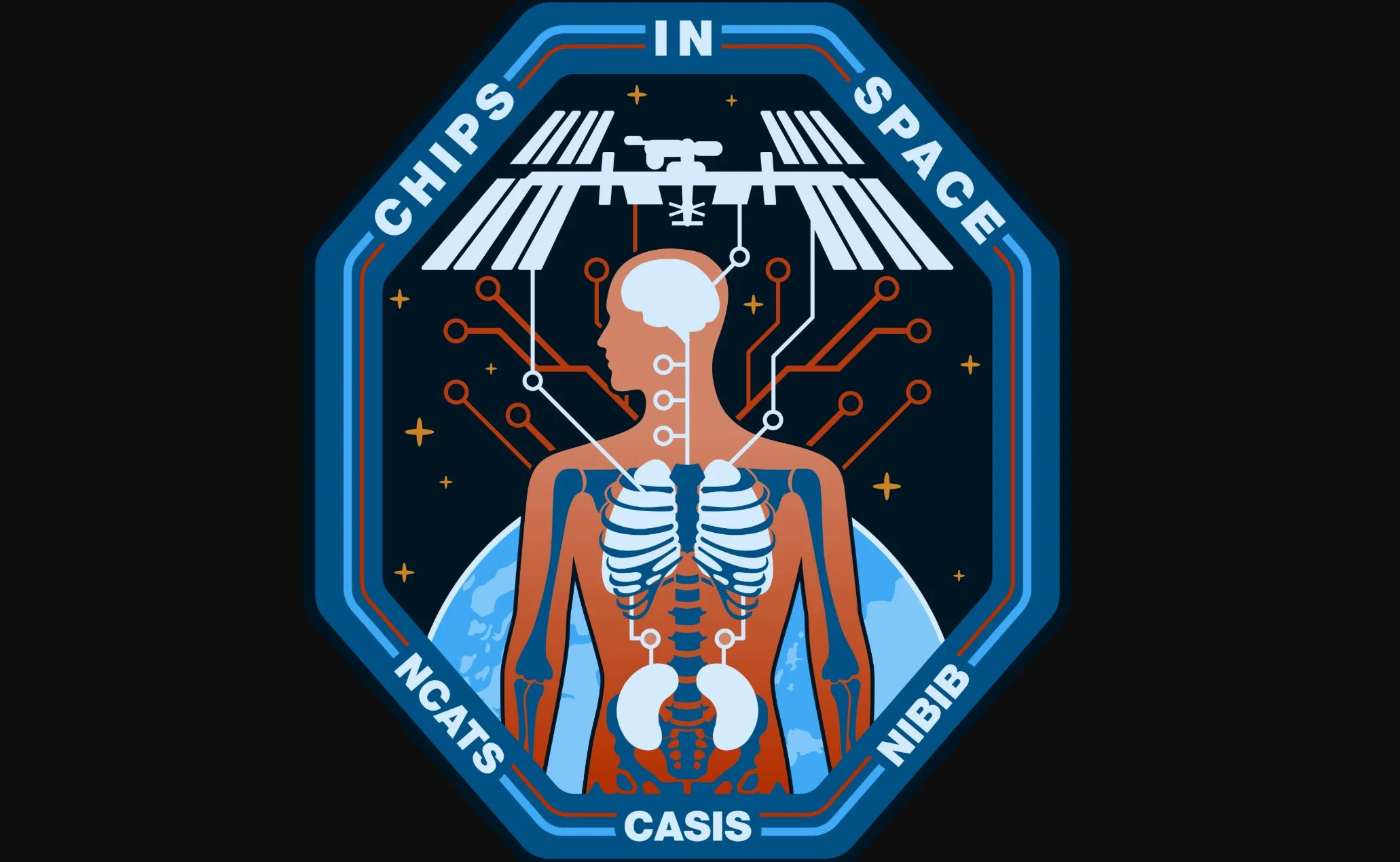 Small Tissue Chips in Space a Big Leap Forward for Research