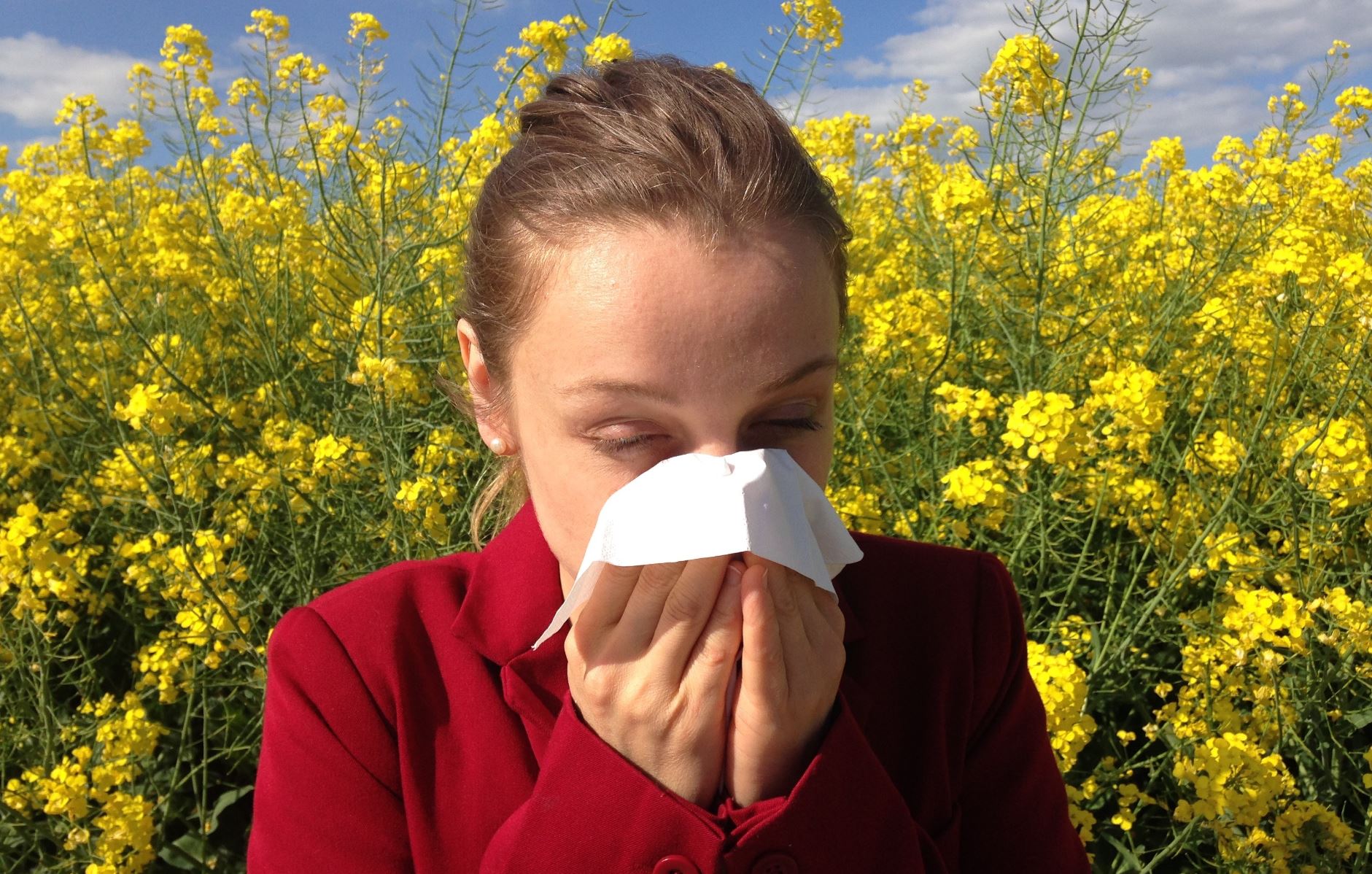 Pollen is getting worse, but you can make things better with these tips ...