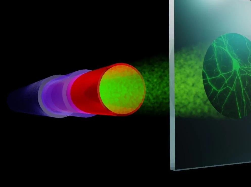 Scientists developed a microscope that fits in a needle to get a real ...