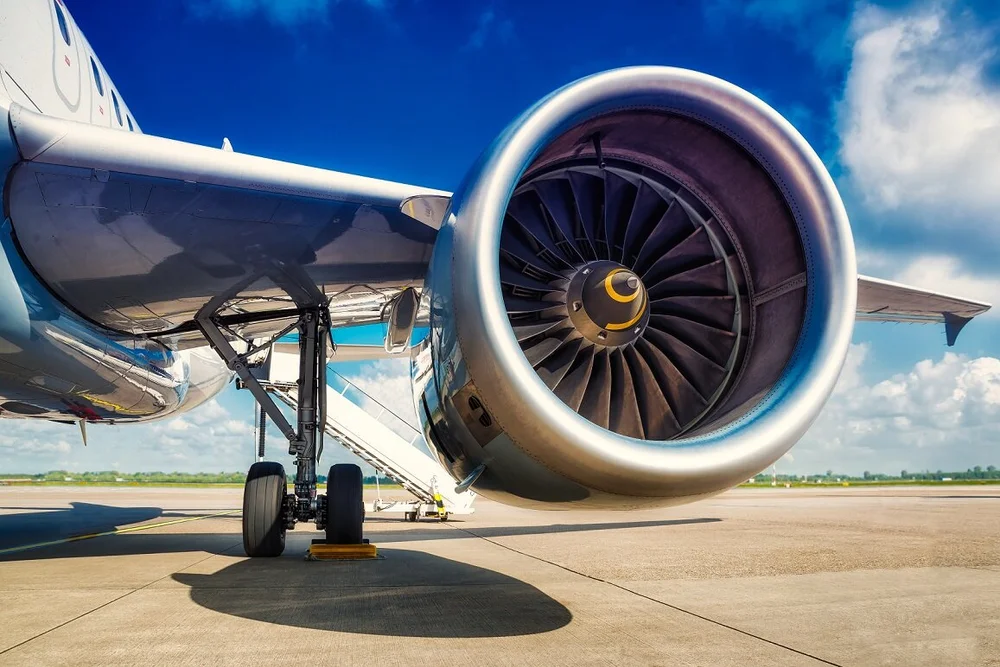 This incredible beetle can endure being run over by a car, inspiring ...