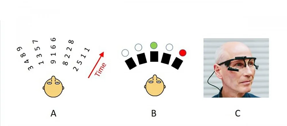 No More Blaming the Background Music: The Interesting Way in Which Your ...