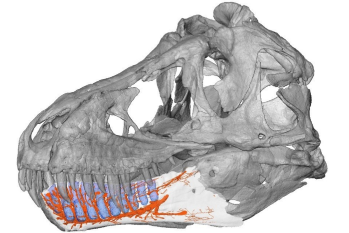 It turns out that the T. Rex must have been even more terrifying than ...