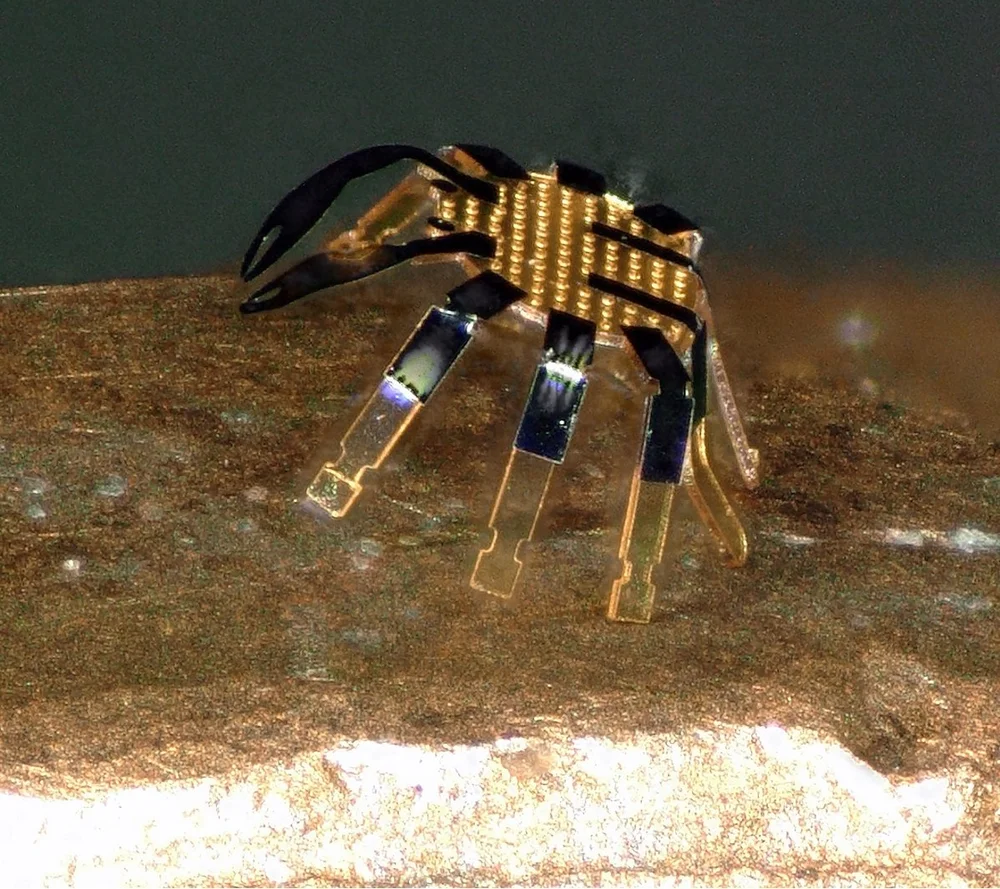 Engineers created the smallest remote-controlled walking robot ever