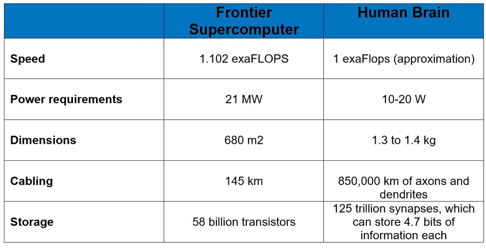 Will Next-Gen Computers Run on Brain Cells? The Rise of Biocomputing
