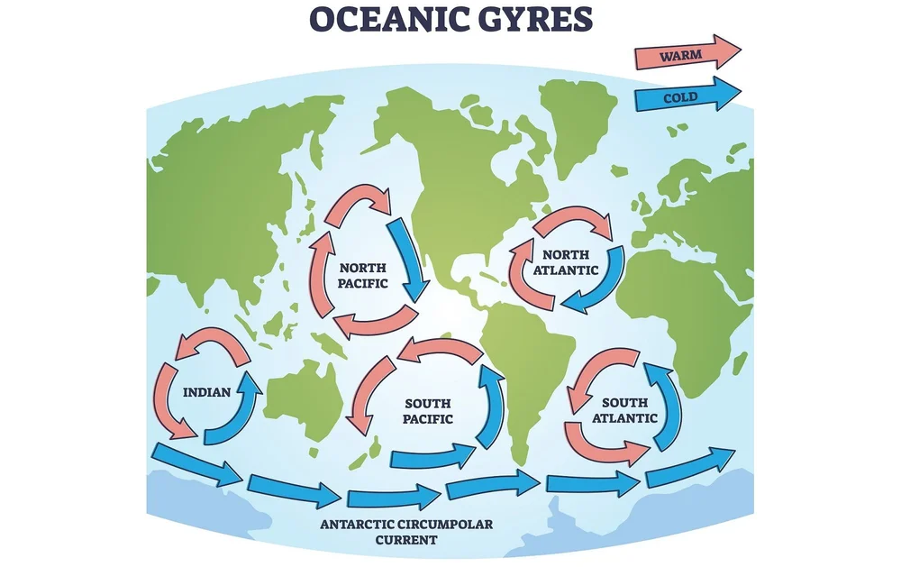 Dutch scientists may have solved the missing plastic paradox