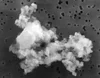 Microscopic space dust landing on Earth may contain evidence of ...