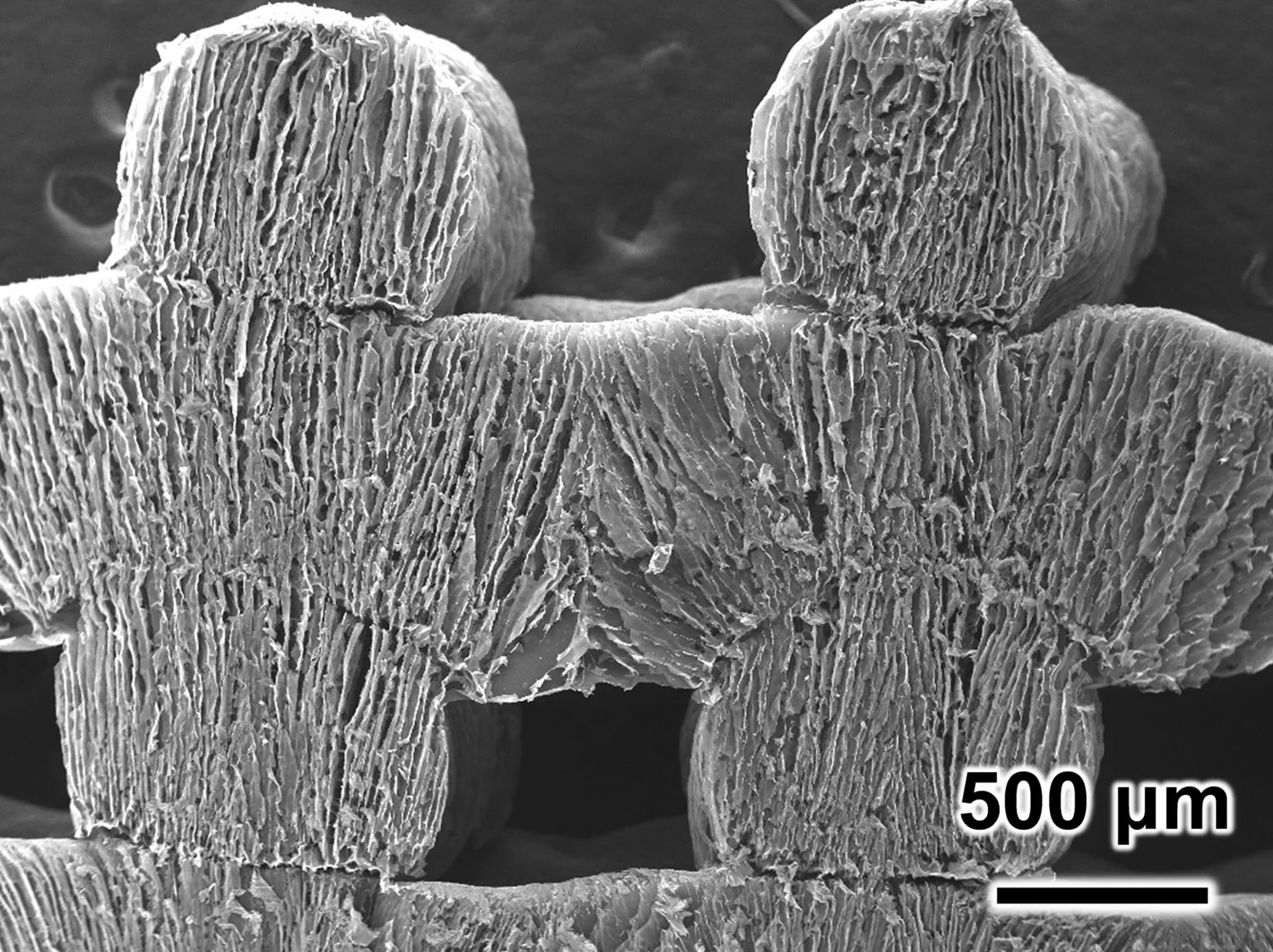 How This Spongy Material Could Remove Salt From Seawater, Creating ...