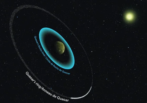 New ring system discovered in our solar system!