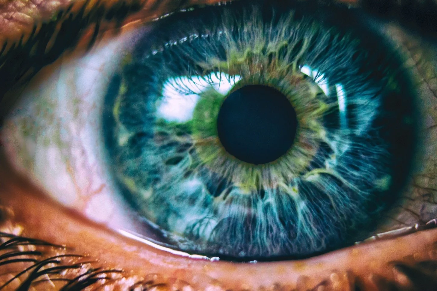 Amazing: bioengineered cornea restores vision for people suffering from ...