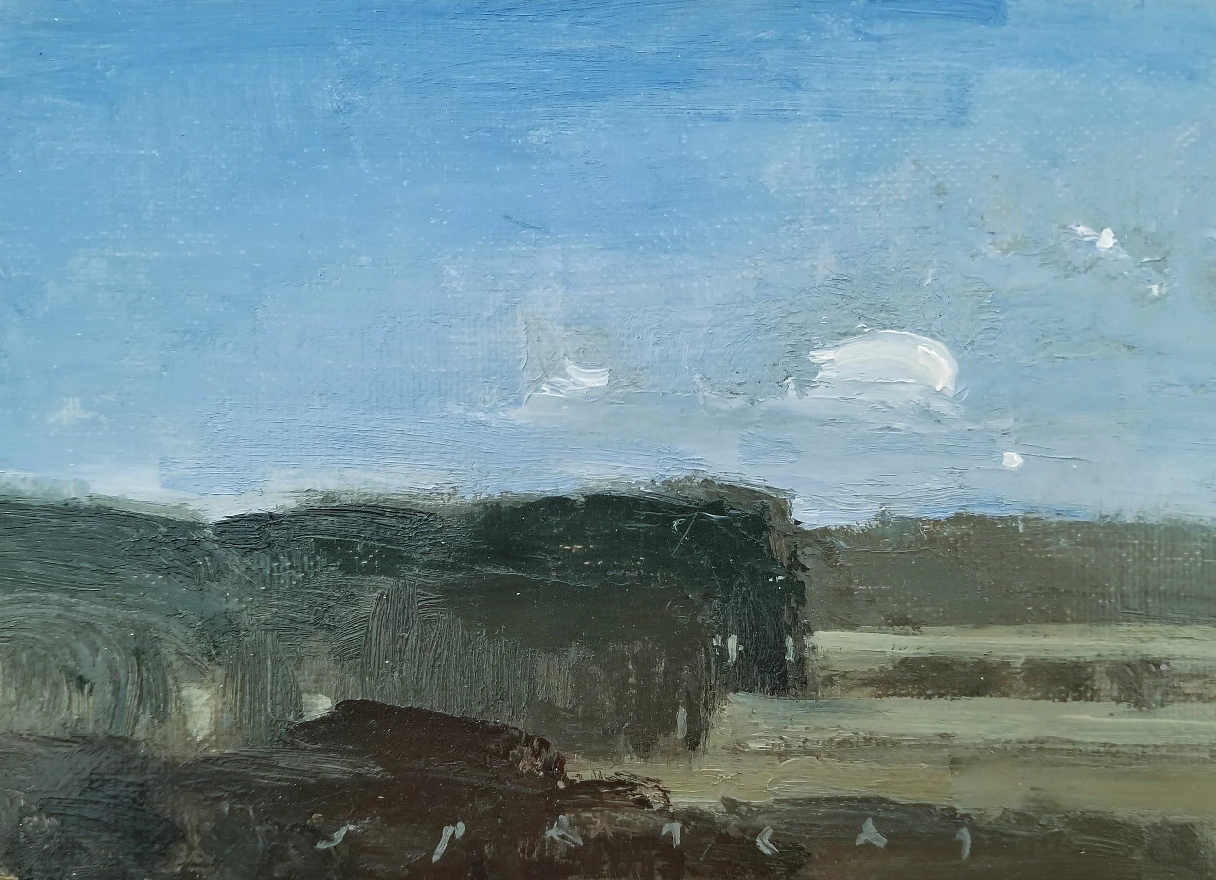 available paintings — Erin Spencer