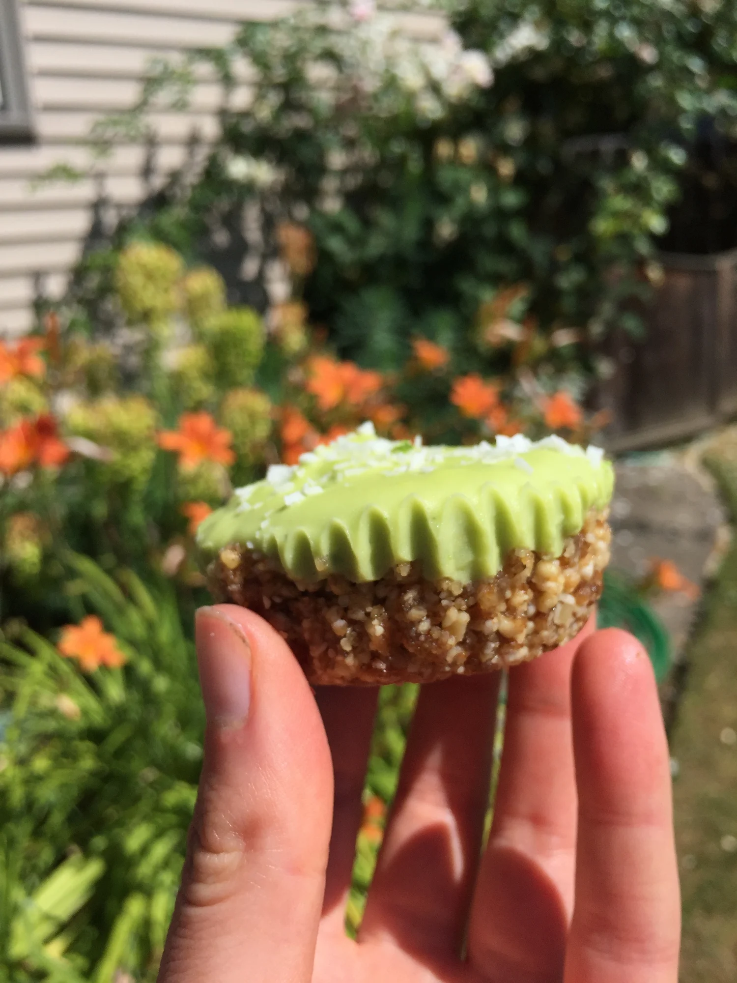 Raw Mini Key Lime Pie — People's Food Co-op