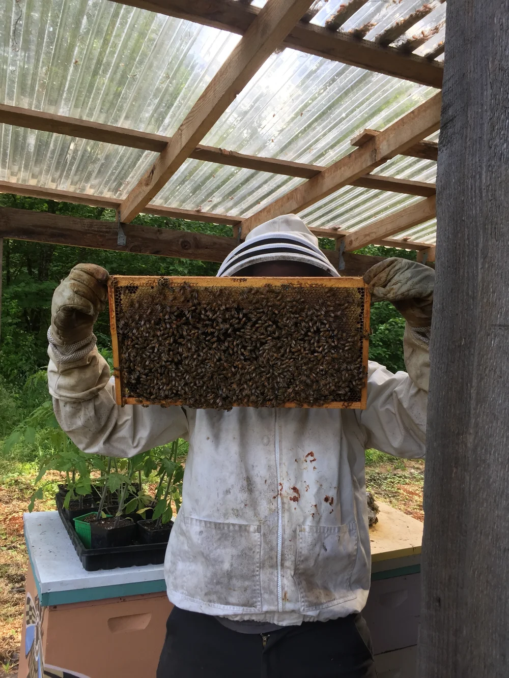 Melchemy Craft Mead: Makers in the Forest — People's Food Co-op