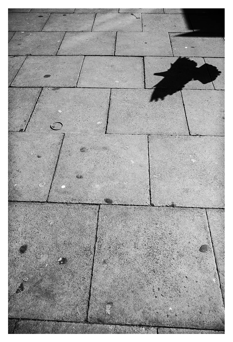 Shop — Jan Bernet Photography