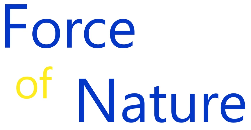 PRJ - Colorforce — Jamie Bush + Co.