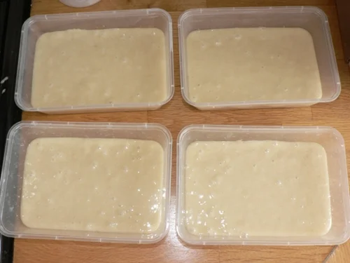 Our Adventures With Herman The German Friendship Cake — Gourmet Mum