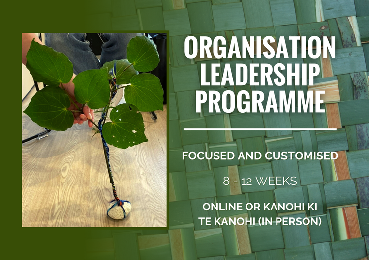 Organisation Leadership Programme — Leadership New Zealand