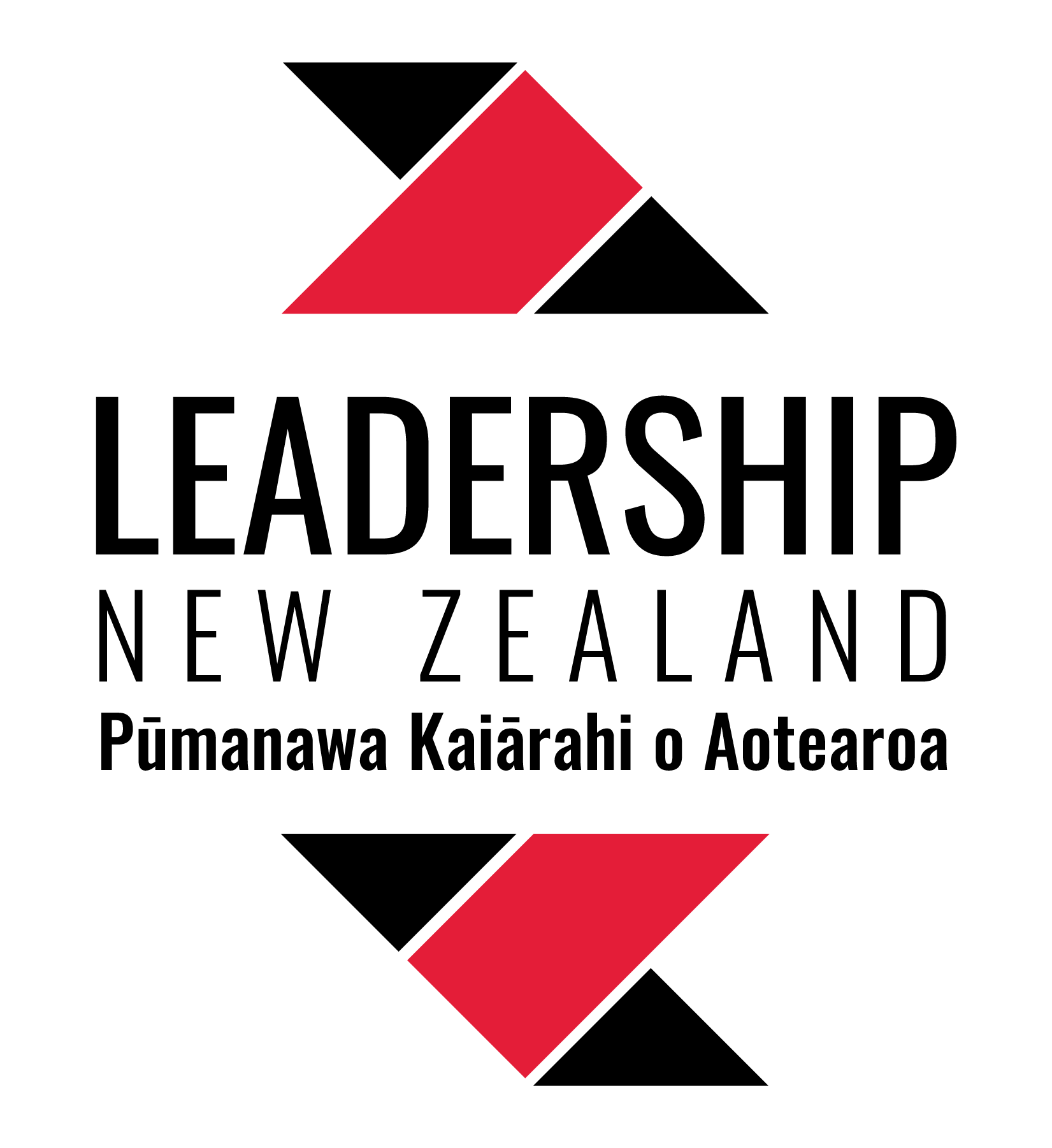 Vector Nz Leadership