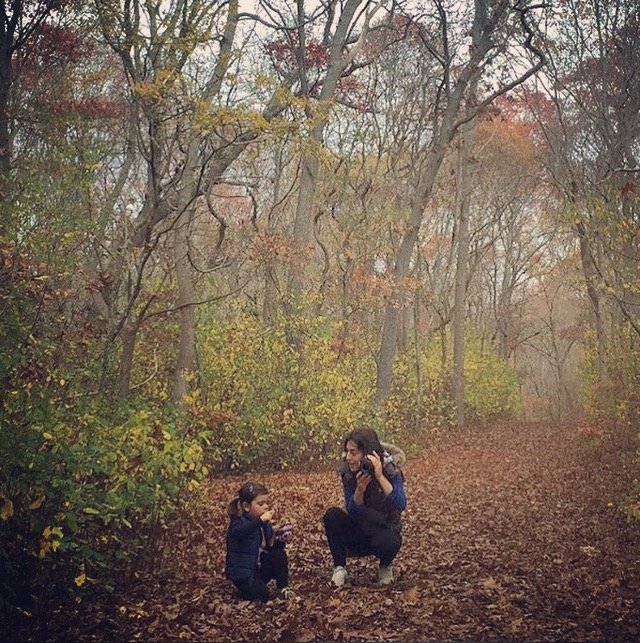 little miss workbench