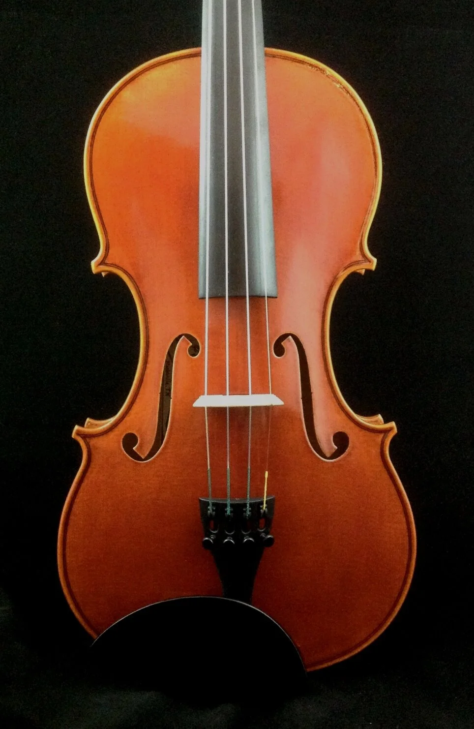 The Instruments - Violins and Violas — J. HALENAR VIOLINS
