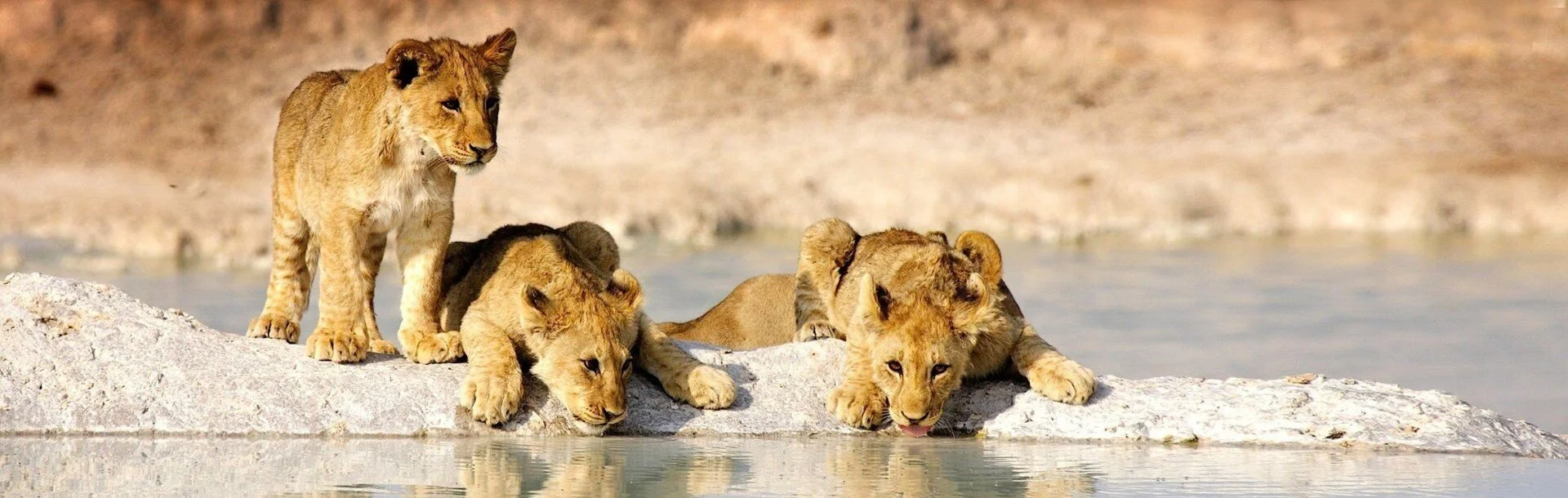 namibie — oranjetours